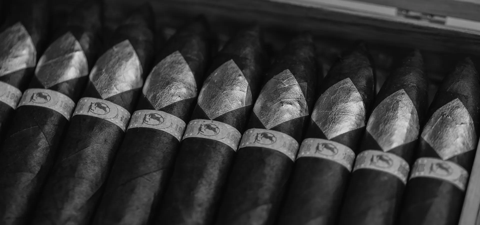 Authentic Cuban cigars and accessories Home - Casa Del Puro